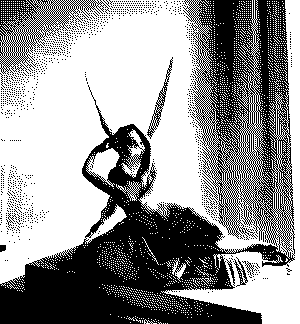 Online Image Dithering Tool – Floyd-Steinberg, Bayer, Atkinson & More