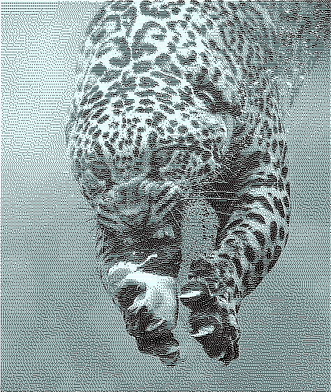 Online Image & Video Dithering Tool – Floyd-Steinberg, Bayer, Atkinson ...