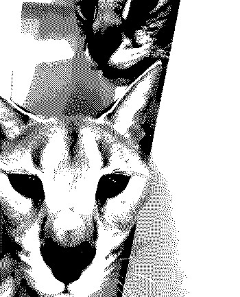 Online Image & Video Dithering Tool – Floyd-Steinberg, Bayer, Atkinson ...